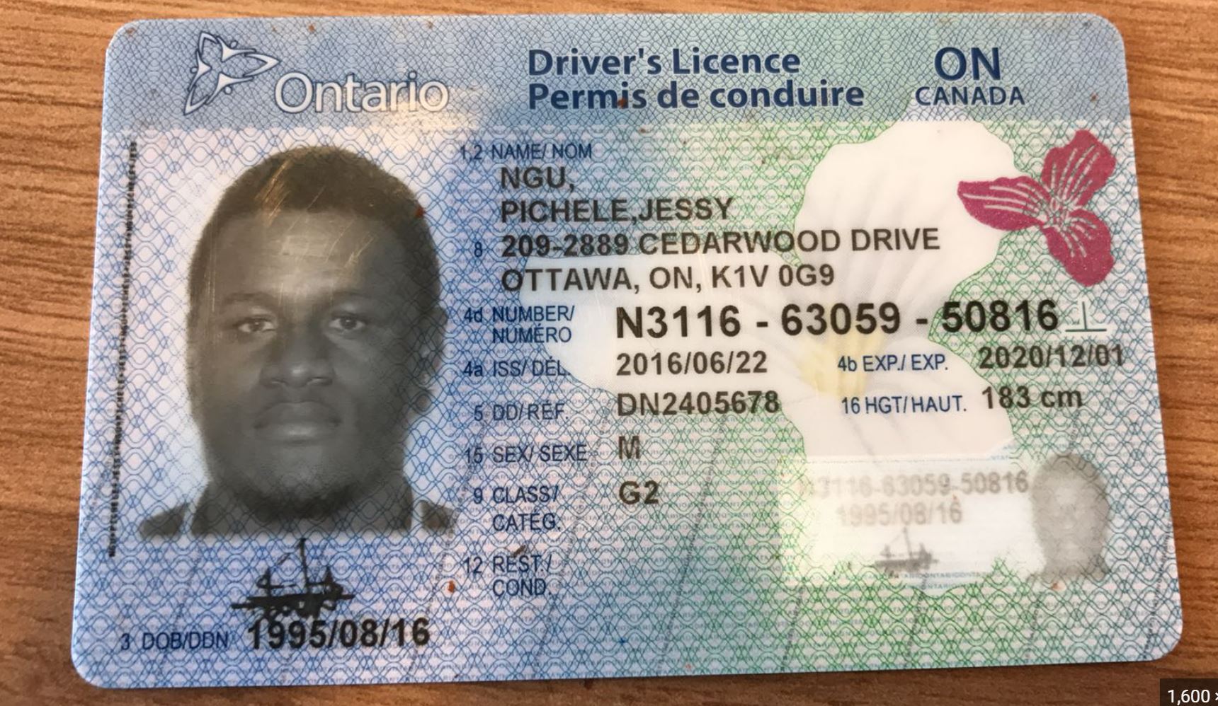 Renew Ontario Driver License